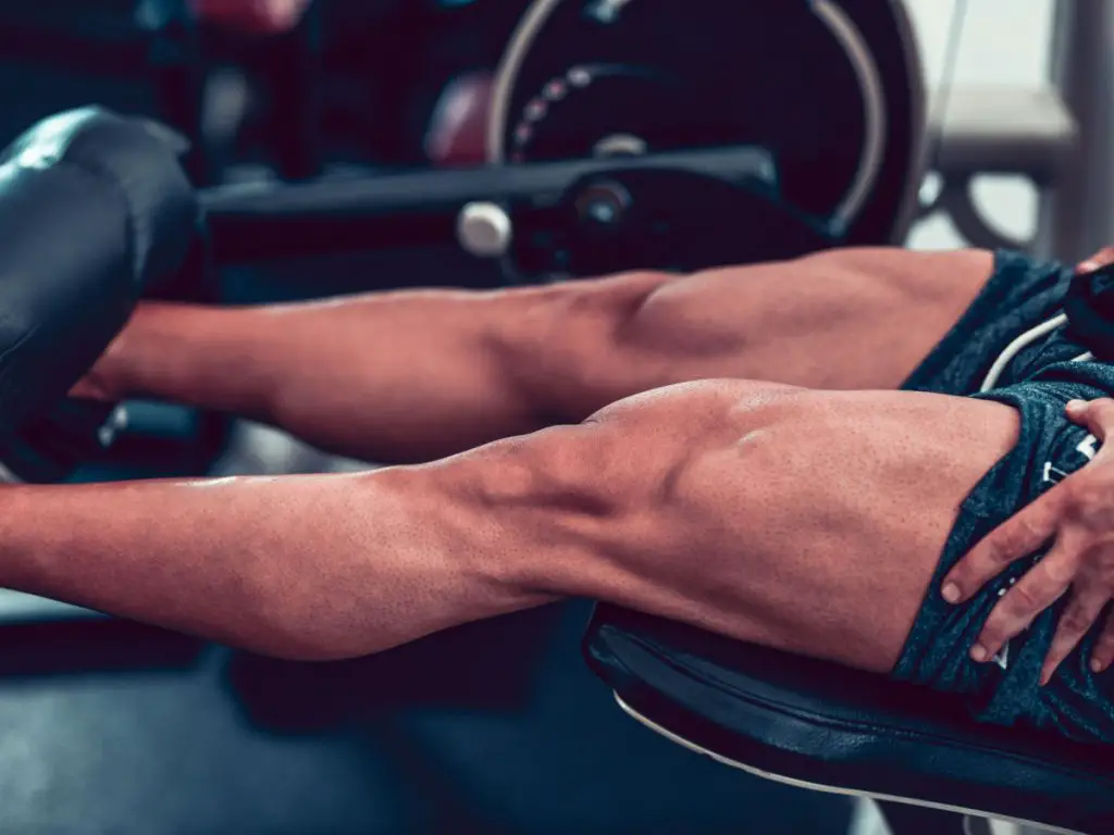 How Many Muscles Does it Take to Stand Upright? - PostureInfoHub