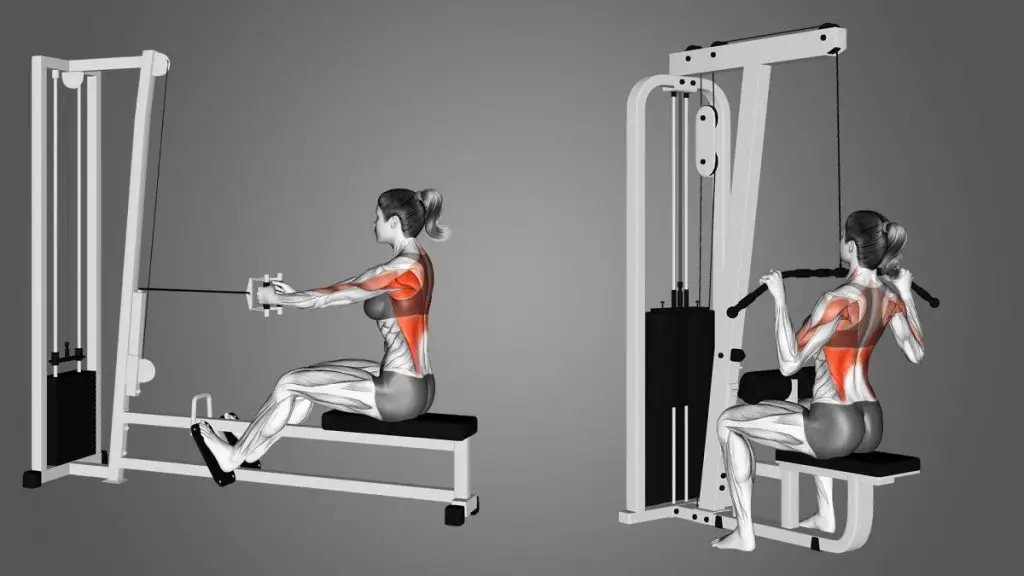 Are Rows Better Than Pulldowns? - PostureInfoHub
