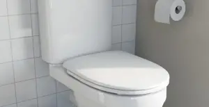 Why is Bathroom Called Wc? - PostureInfoHub