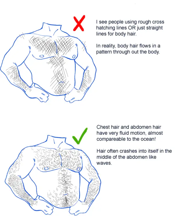 How to Draw Body Hair - PostureInfoHub